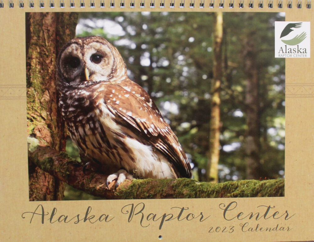 Alaska Raptor Center 2023 Calendar – Alaska Raptor Center