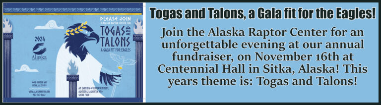 Alaska Raptor Center – Rehabilitation. Education. Research.